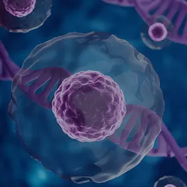 Asthma-on-a-Chip Reveals New Disease Mechanism | Technology Networks