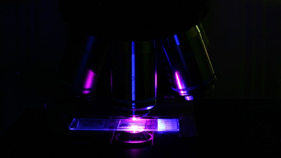 How To Increase Your iPSC Numbers With Bioprocess Control | Technology ...