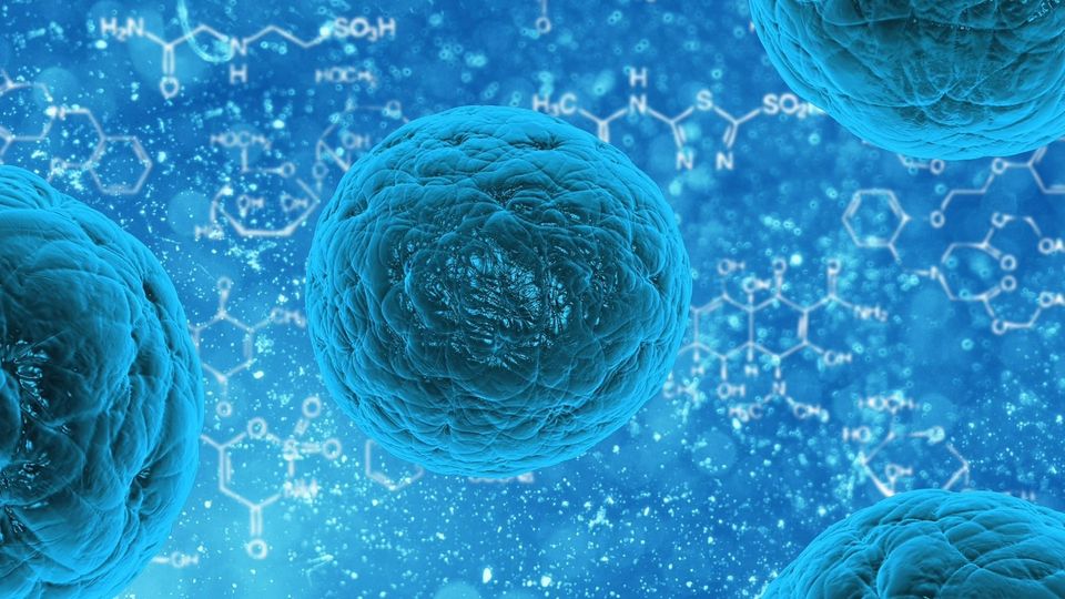 Cell-Selective mRNA Enables Precision Therapies | Technology Networks