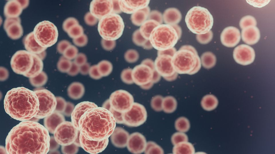 Genetic Variants May Undermine Antibody-Based Therapies | Technology ...