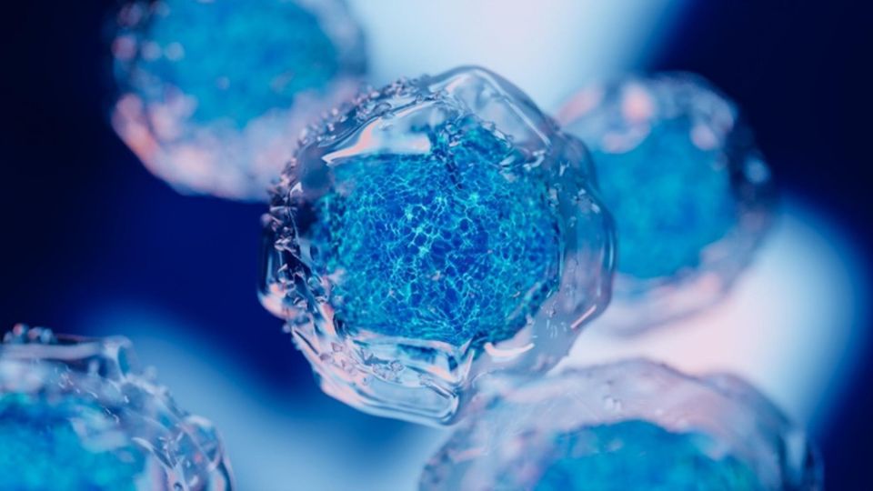 Atelerix Partnership Simplifies 3D Organoid Model Transport ...