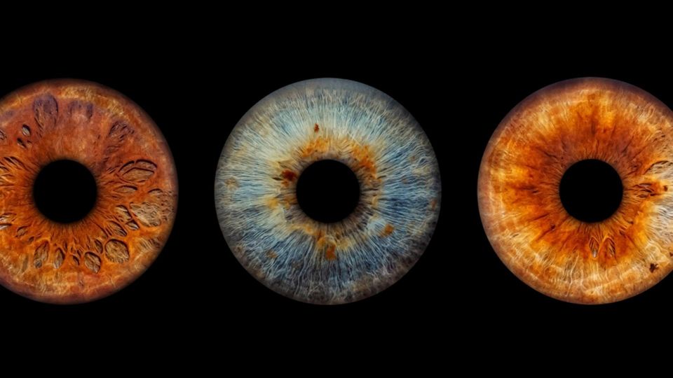Retinal Organoids Potential Explained by Stem Cell Research ...