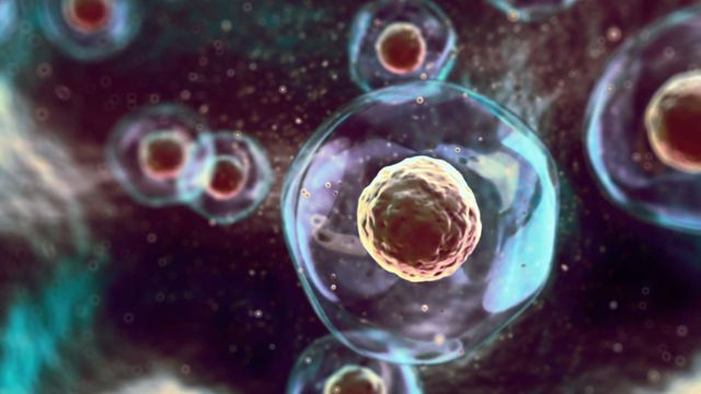 How Oestrogens Regulate Genes by Twisting DNA | Technology Networks