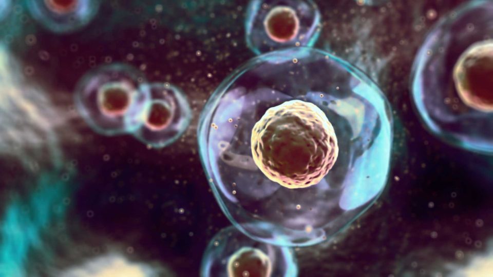 Cellular Chirality Linked to Molecular Structures | Technology Networks