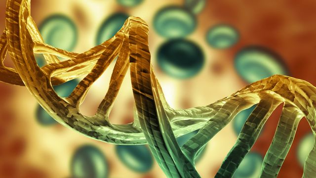 Genome Study Reveals Extreme Intron Expansion | Technology Networks