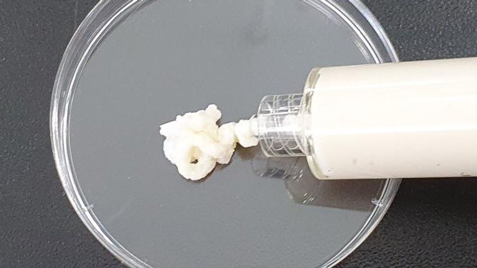 Skin Cell Paste Offers Alternative to Breast Implants | Technology Networks