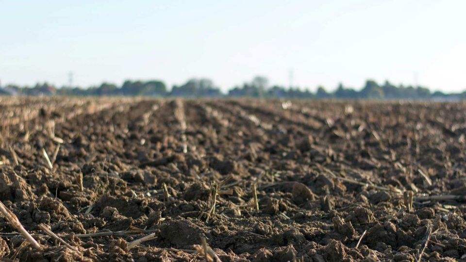 Soil Study Discovers Thousands of New Microbes | Technology Networks