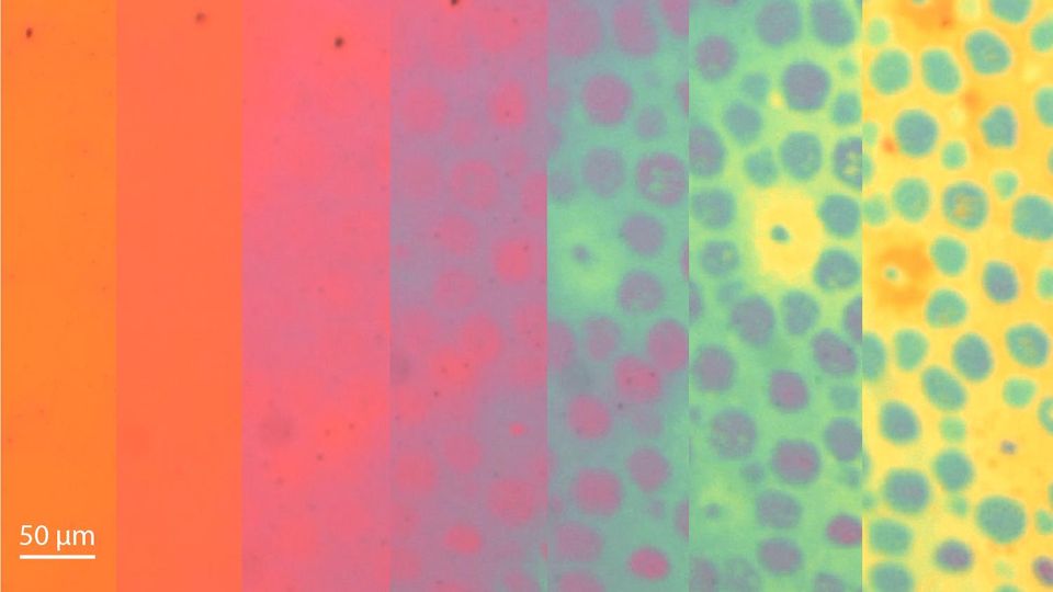 Flexible Material Changes Color and Texture Like an Octopus ...