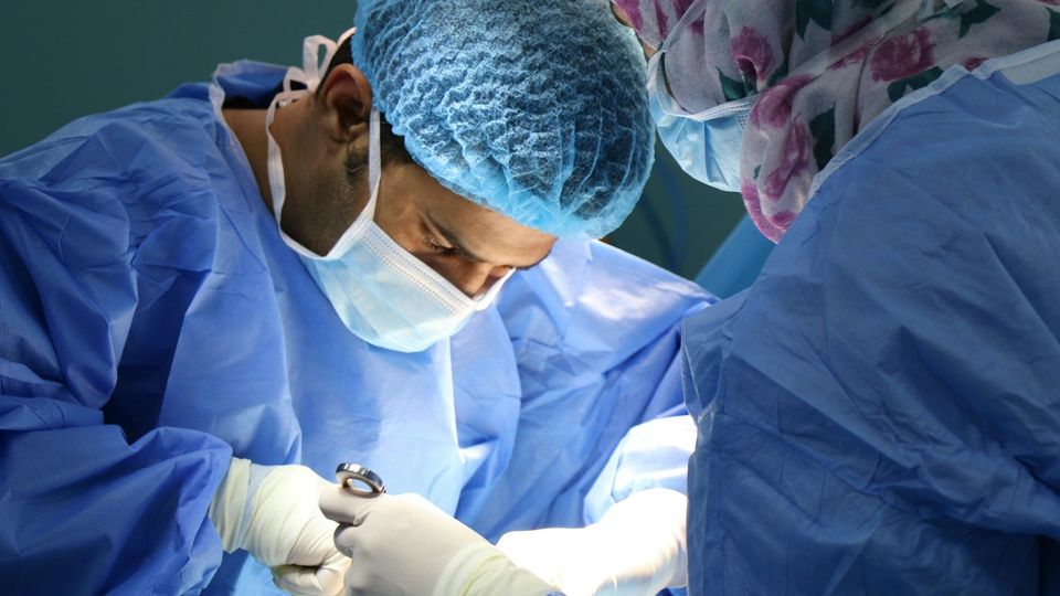 Organ Transplant Study Reveals New Path to Immune Tolerance ...