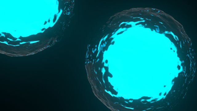 Embryonic Cell Division Without a Contractile Ring | Technology Networks