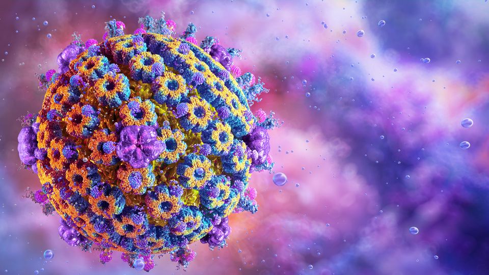 Ancient DNA Traces Human Herpesvirus Back 2,500 Years | Technology Networks