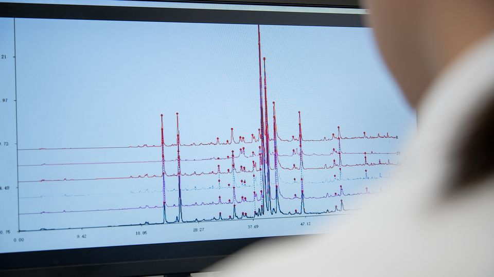 X-Ray Technology Enables Rapid Multiscale Bone Imaging | Technology ...