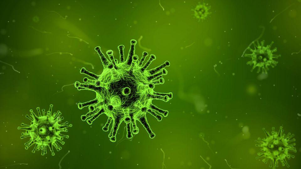 How Epstein-Barr Virus and Genetics Trigger MS | Technology Networks