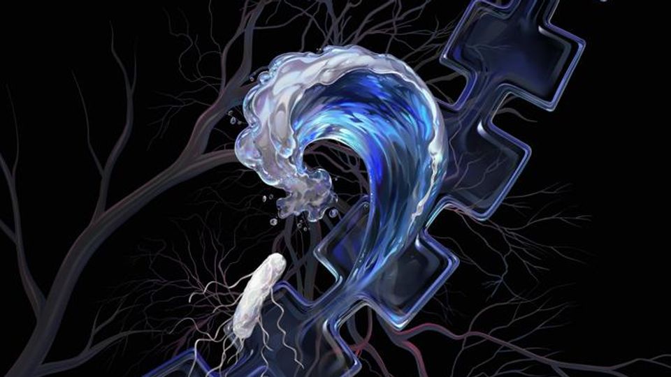 E. coli Can Swim Upstream and Invade Medical Devices | Technology Networks