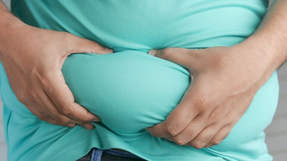 Abdominal Fat Close to the Gut May Fuel Inflammation | Technology Networks