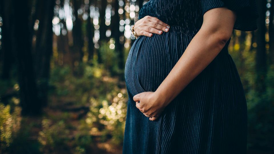 Fatty Liver Disease Risk Reduced by Gut Bacteria in Pregnancy ...