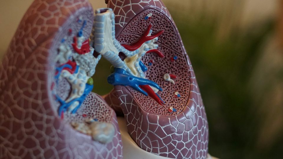 Nanocarrier Vaccine Technology Advances Pulmonary mRNA Vaccines ...