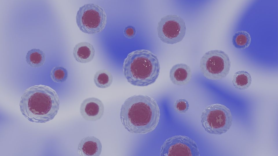 Exocytosis Explained by Discovery of a New Cellular Nanomachine ...