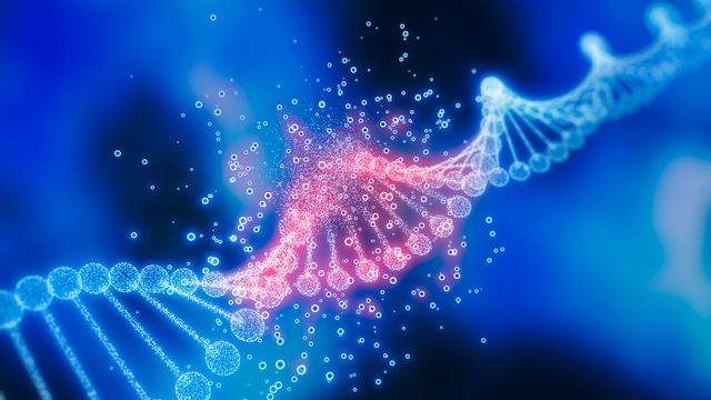 KRAS G12R Mutation Linked to Less Aggressive Pancreatic Cancer ...