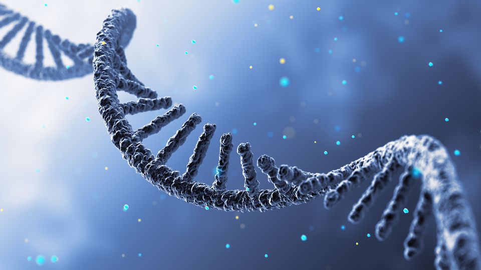 Enzyme Makes All RNA Nucleotides in One Step | Technology Networks