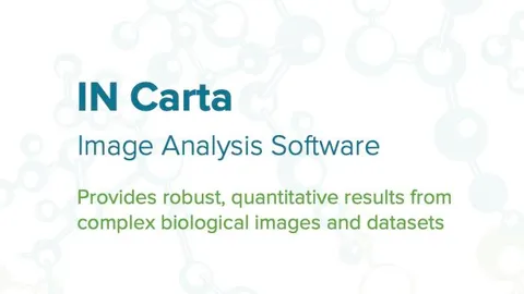 Timed Drug-Delivery Patch Aids Cardiac Regeneration | Technology Networks