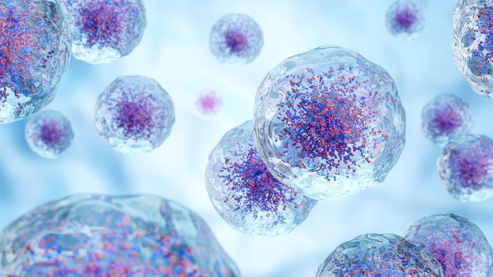 CytoTape Tracks Cellular Activity Over Time at Scale | Technology Networks