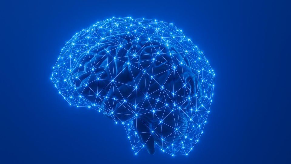 Lysosomal Proteins Brain Atlas Sheds Light on Disease | Technology Networks