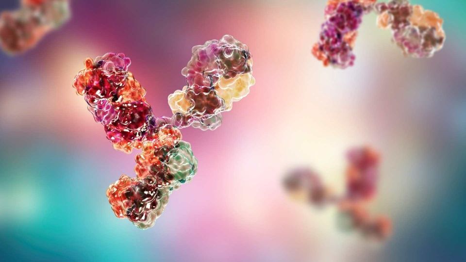 CARB-X Funds Rapid Test To Detect Acute Typhoid | Technology Networks