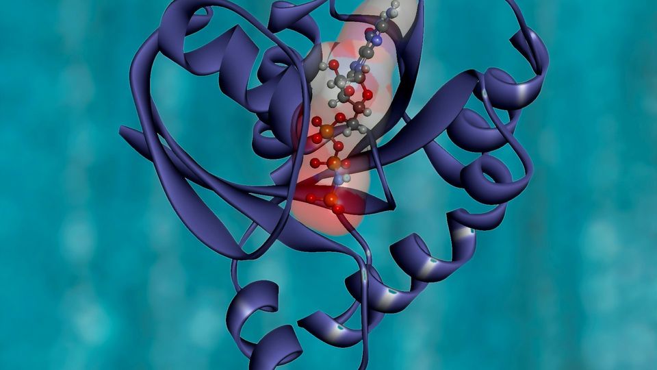 High-Throughput Method To Find Protein Degraders | Technology Networks