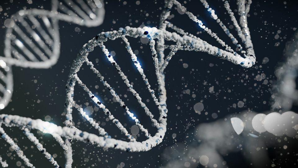 CRISPR Editing of FLI1 Improves NK Cell Activity in Tumors | Technology ...