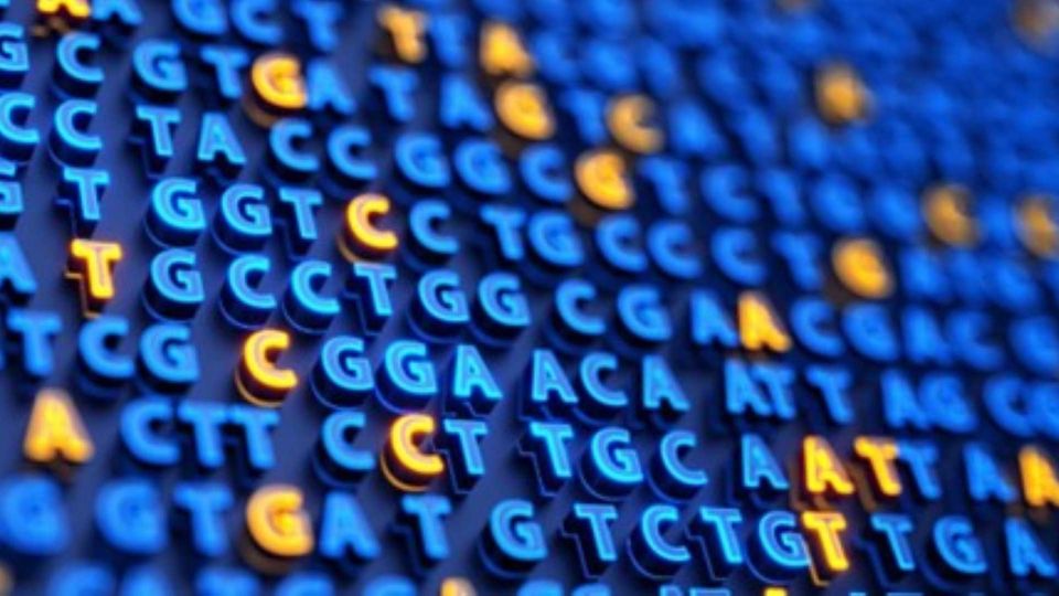 Ultra-High-Throughput Sequencing Hits New Scale | Technology Networks