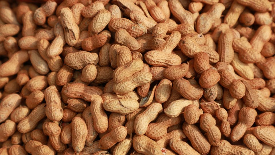 Turning Peanut Waste Into High-Quality Graphene | Technology Networks