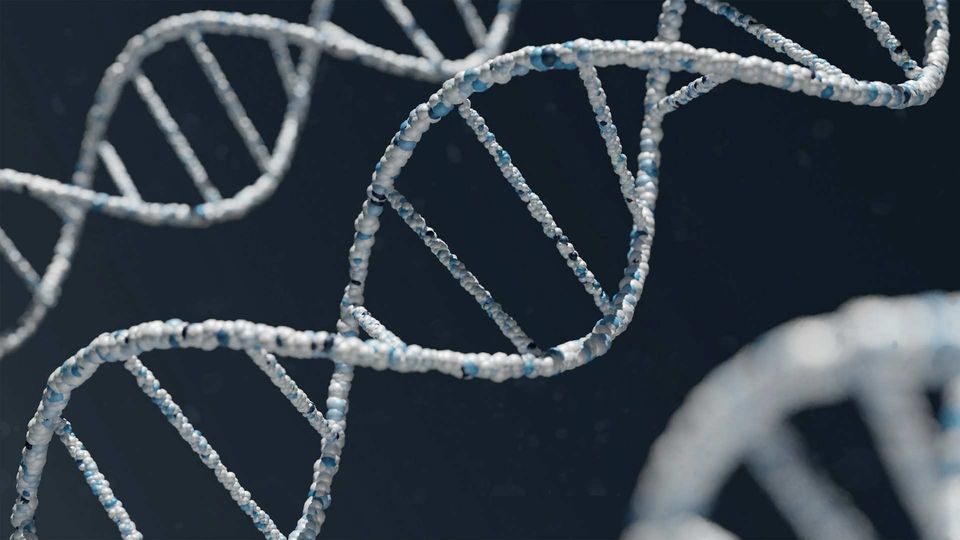 High-Resolution Maps Reveal DNA Variants Driving Disease | Technology ...