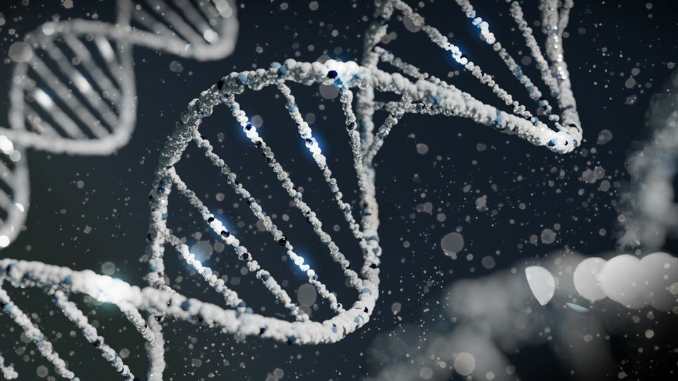 Study Links LINE-1 Activity to Cancer Genome Instability | Technology ...