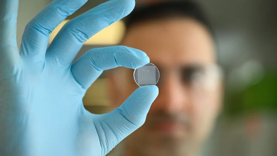 Microneedle Patch Enables Painless Immune Monitoring | Technology Networks