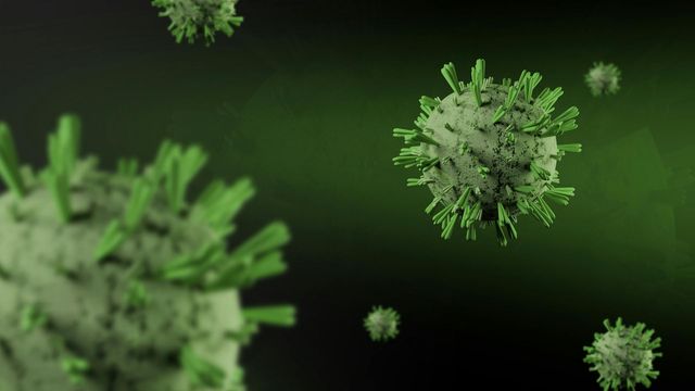 Key Molecular Switch Controls Interferon Responses | Technology Networks