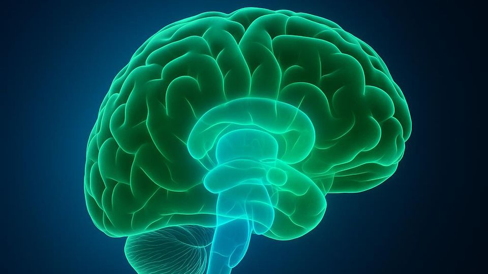 Saliva Diagnostic Platform Detects Neurological Disorders | Technology ...