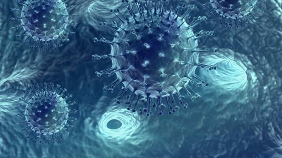 Pre-Made Lentiviral Particles Improve Gene Delivery | Technology Networks