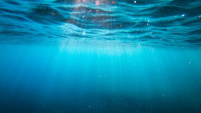"Marine Snow" Bacteria Could Reduce Ocean Carbon Storage | Technology ...