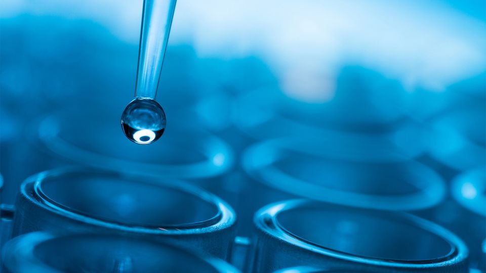Benchtop NMR Enables Real-Time Cell Metabolism On Chip | Technology ...