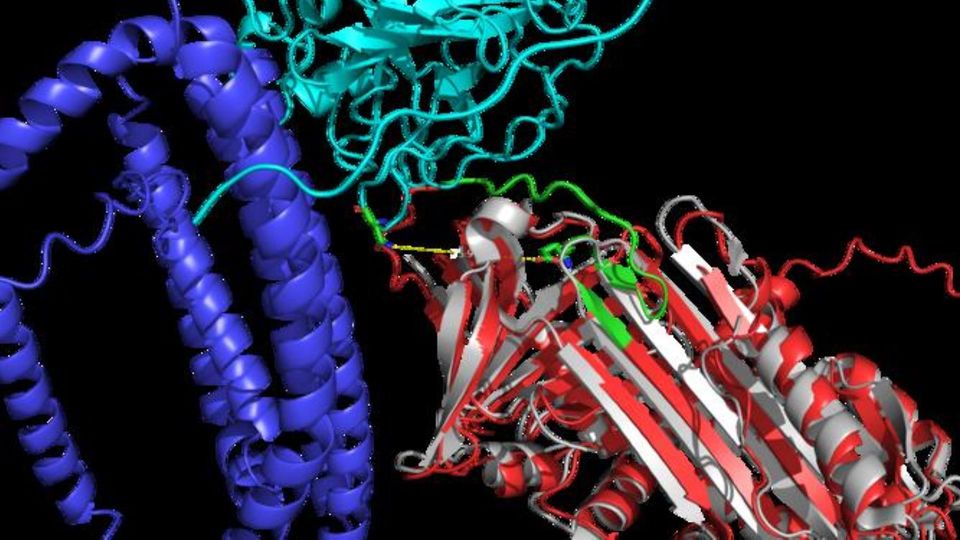 Blood Protein Structure Test May Detect Alzheimer’s Earlier ...