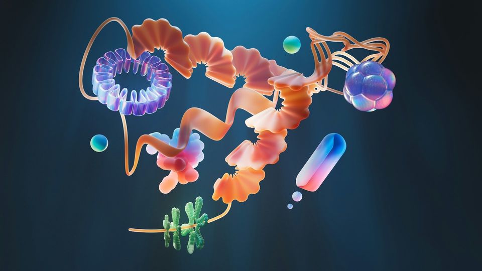 Caged Boron Compound Unlocks Protein Therapeutic Potential | Technology ...