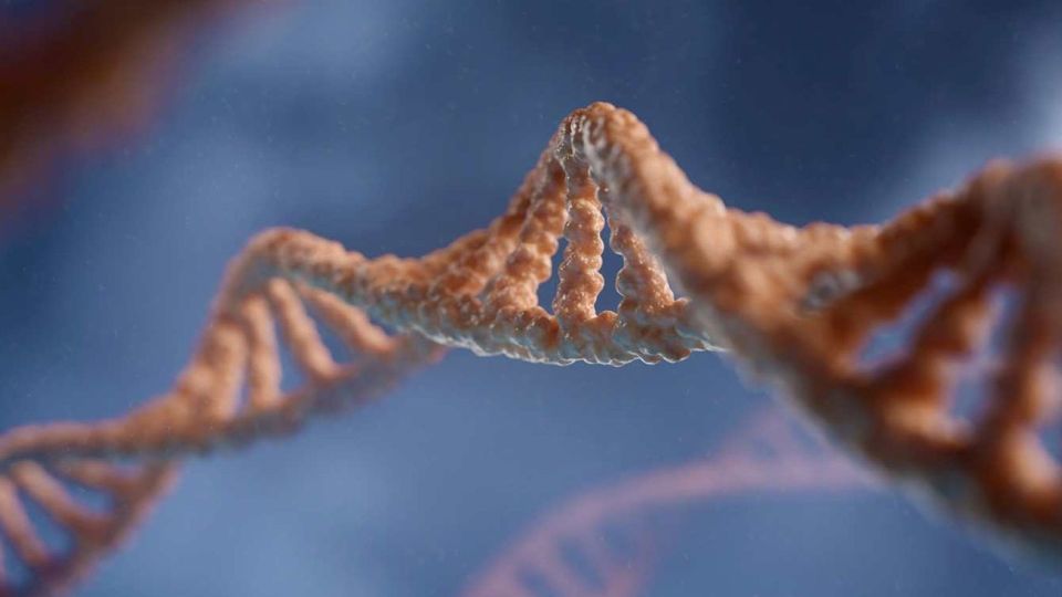 Protein Switch Discovery Reveals New Cancer Drug Target | Technology ...