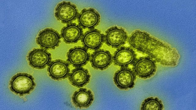 Dual-Target Flu Vaccine May Reduce Spread | Technology Networks