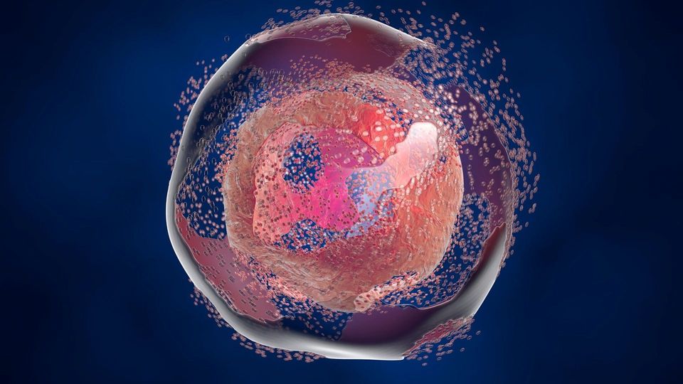 Vitamin B2 Link May Help To Trigger Cancer Death | Technology Networks
