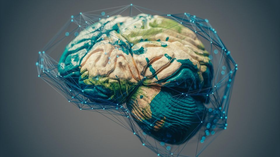 Single-Cell Atlas Reveals Epigenetic Brain Aging Patterns | Technology ...