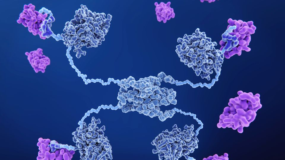 Biomarker-Guided Therapy Targets Schizophrenia | Technology Networks