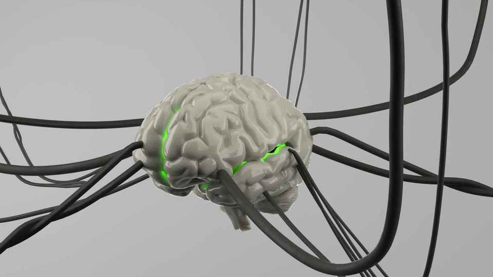 Multiple Brain Areas Handle Language Processing | Technology Networks