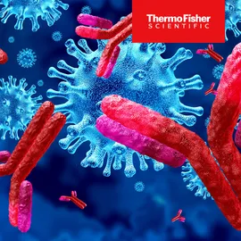 Scanning Probe Microscopy: STM, AFM Principles and Uses | Technology ...