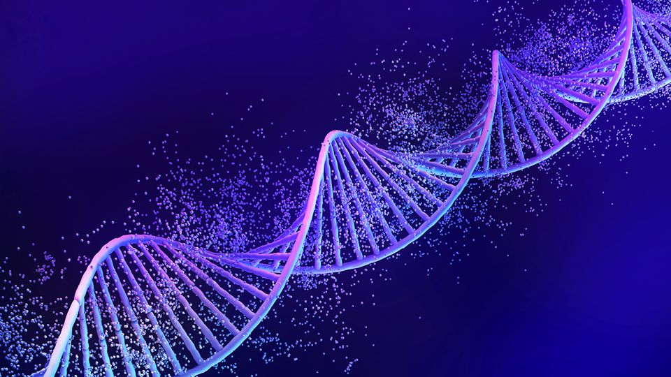 Precise Characterization for Cell and Gene Therapies | Technology Networks